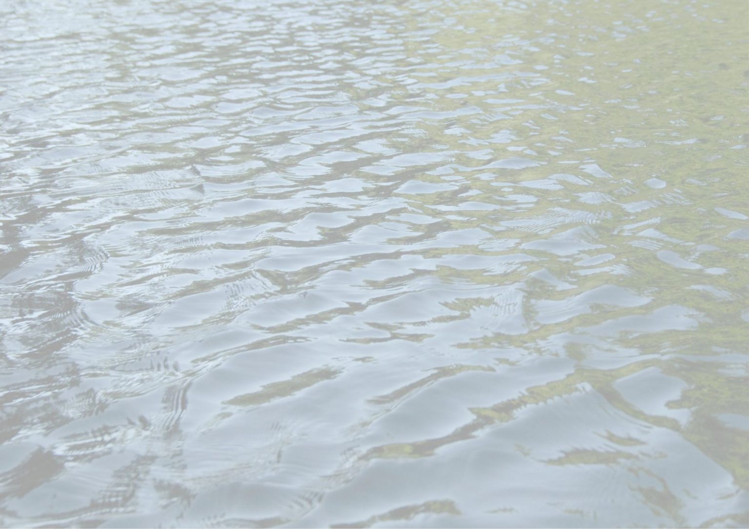 FEVA – Worcester Angling Centre